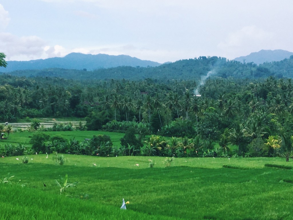 Découvrez le village de Medewi à Bali - Nomade