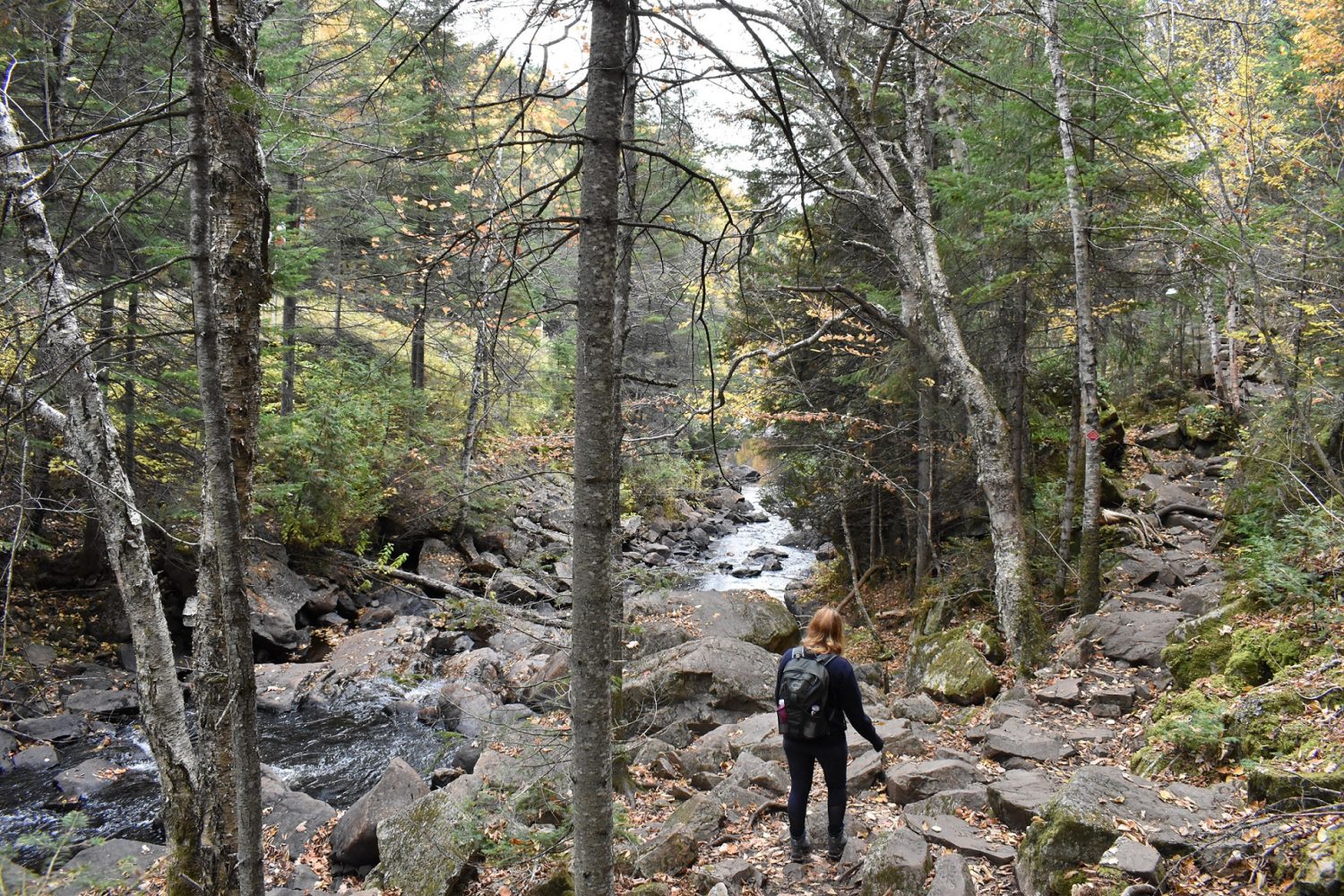Randonnée coup de cœur : parc régional des Sept-Chutes - Nomade